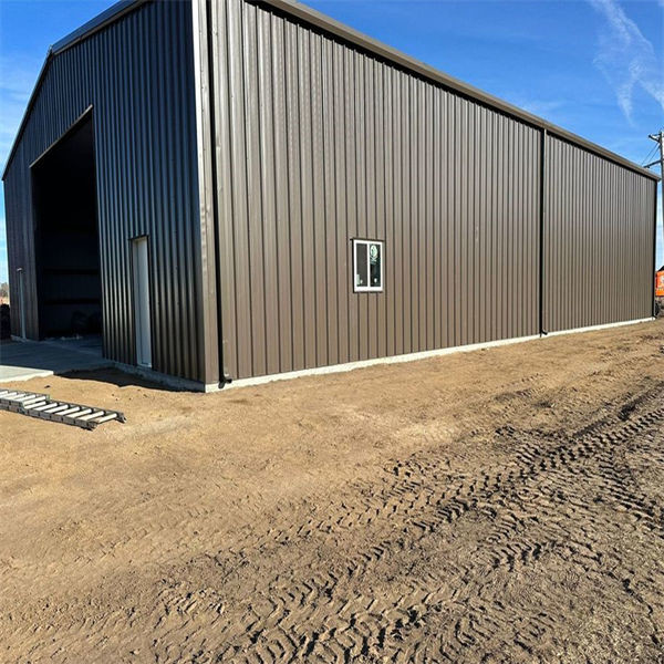 Werkstatt für langlebige Metallbauten mit Z-Abschnitts-Stahl-Purlin und ...